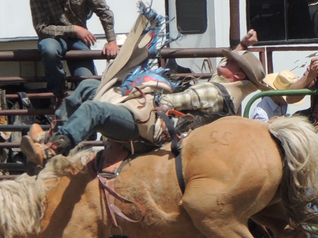 At the Rodeo Part II: “If Jesus Had Been a Norwegian” and Yikes! | Off ...